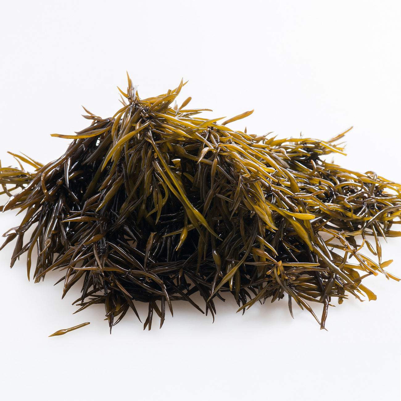 SOLID IN Lip Essence - Torriden